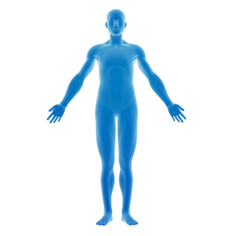 3DLOOK Body Scanning Technology Guide for X-Ray Protection | Burlington ...